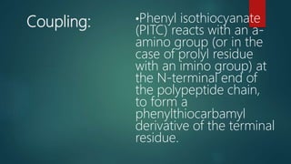 METHODS TO DETERMINE PROTEIN STRUCTURE | PPTX