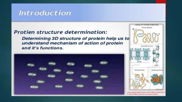 METHODS TO DETERMINE PROTEIN STRUCTURE | PPTX | Chemistry | Science