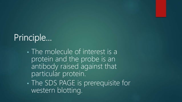 METHODS TO DETERMINE PROTEIN STRUCTURE | PPTX | Chemistry | Science