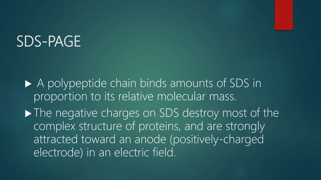 METHODS TO DETERMINE PROTEIN STRUCTURE | PPTX | Chemistry | Science