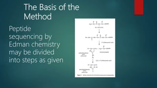 METHODS TO DETERMINE PROTEIN STRUCTURE | PPTX