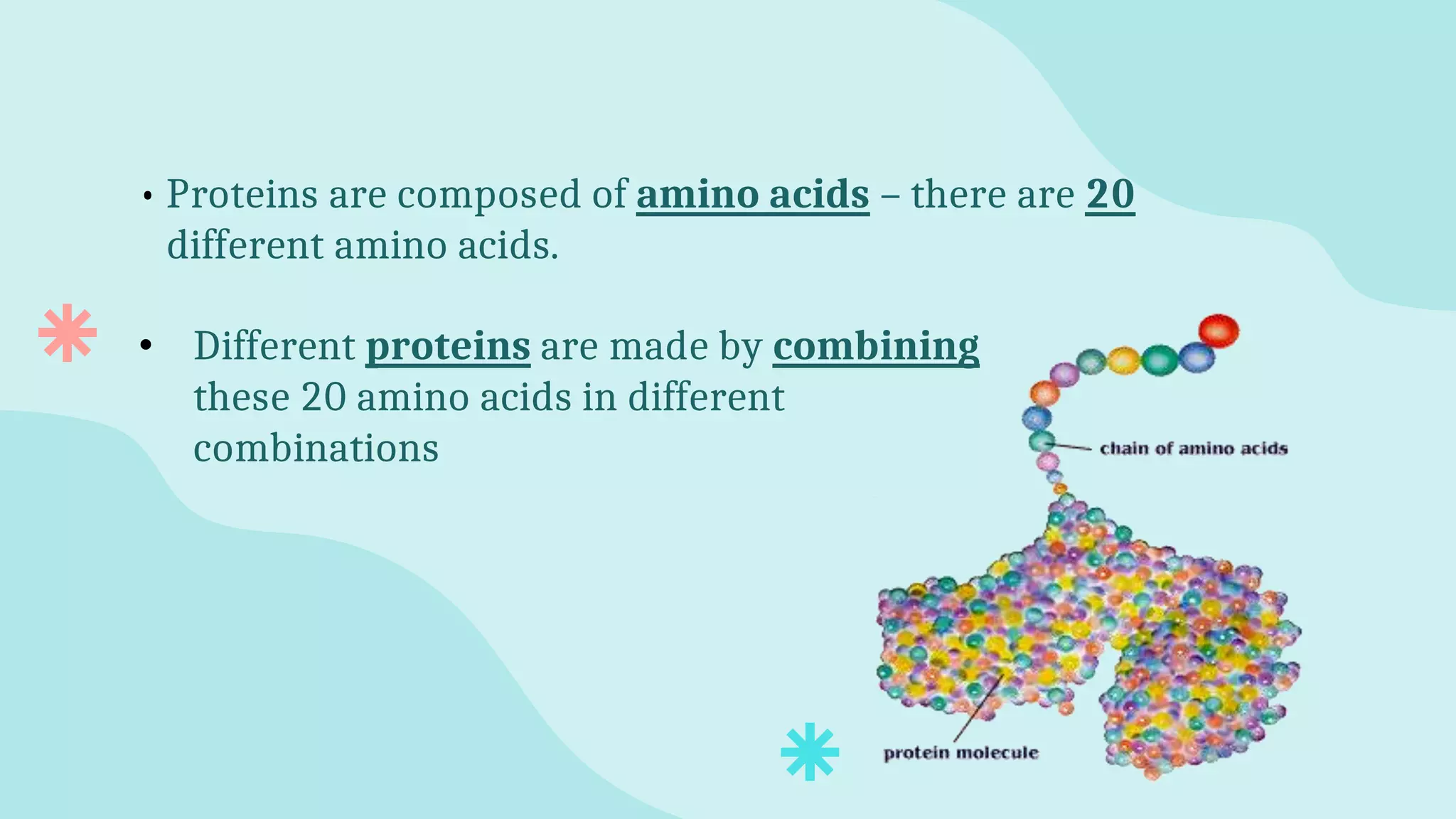 protien synthesis.pptx