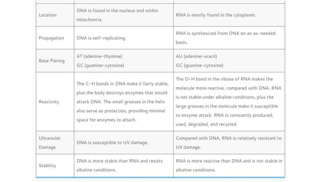 PROTIEN SYNTHESIS.pptx help to understand the process of protien ...