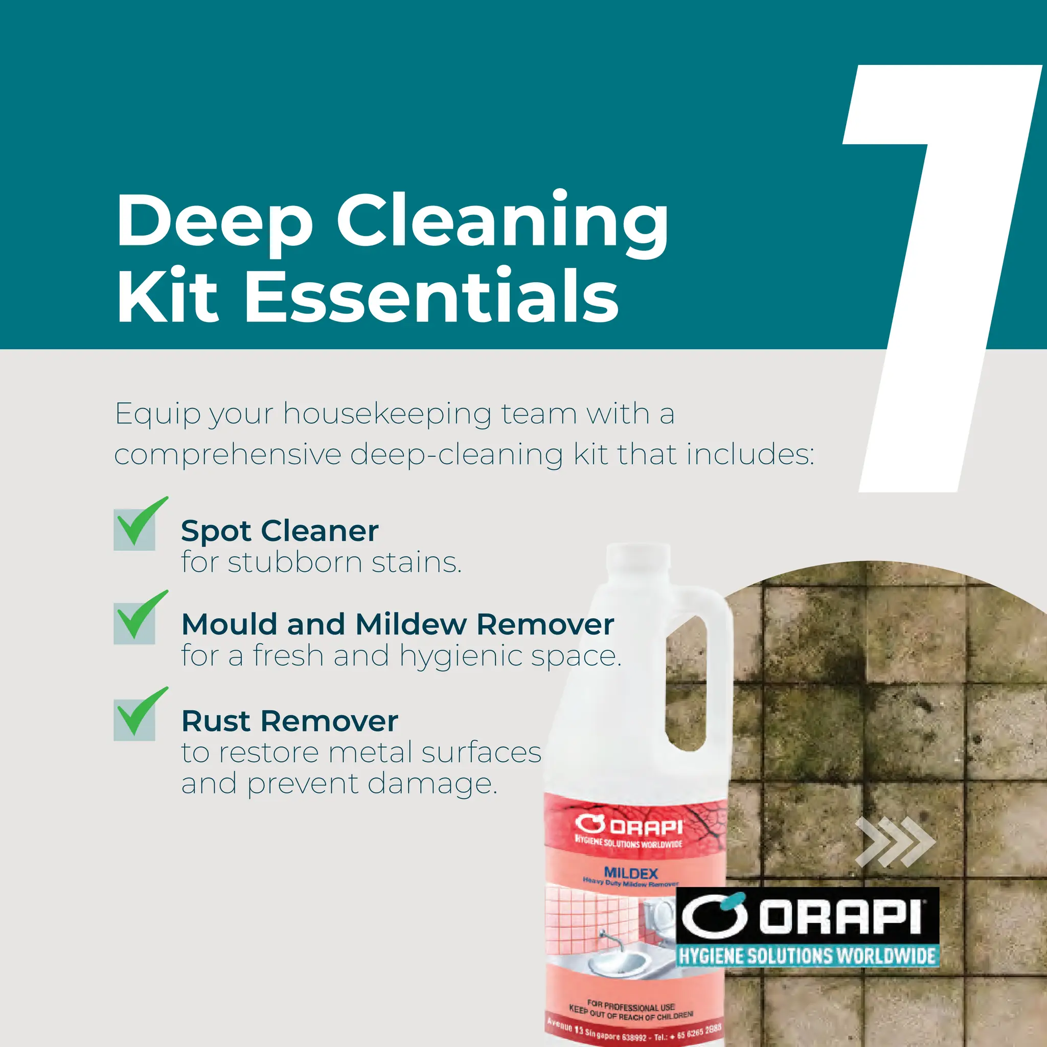 Pro Tips for Housekeeping in Hotels and Resorts.pdf