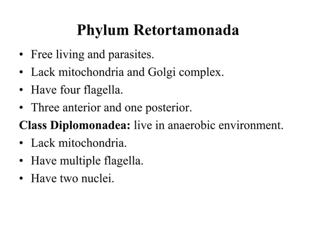 Kingdom Protista presentation | PPT | Biological Sciences | Science
