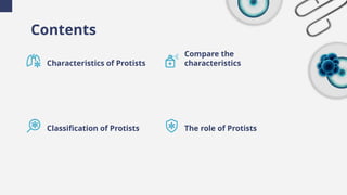 Kingdom Protista: Characteristics, Classification, Habitats and ...