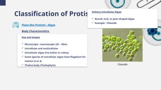 Kingdom Protista: Characteristics, Classification, Habitats and ...