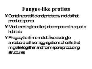 Protist notes | PPT