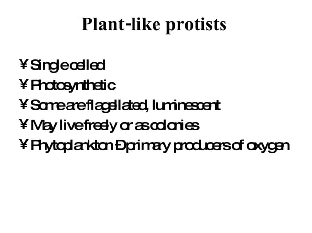 Protist notes | PPT