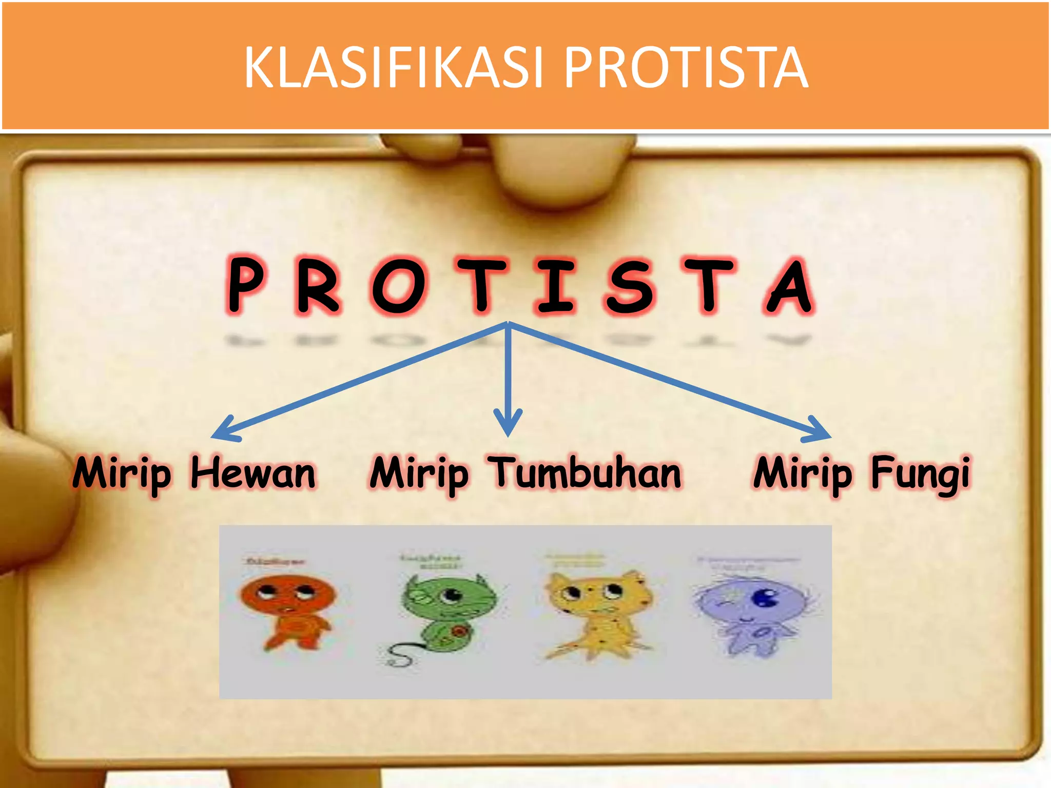 Protista | PPTX