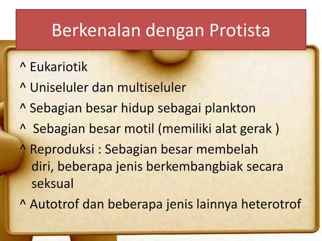 Protista | PPTX