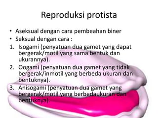 Protista | PPTX