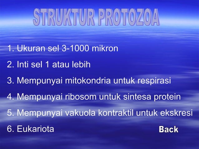 Protista | PPT