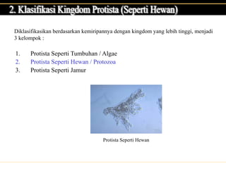 Protista | PPT
