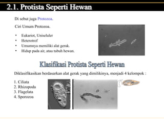 Protista | PPT