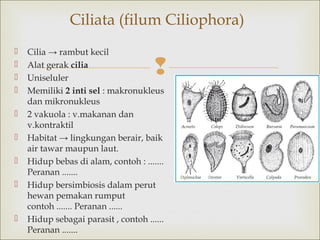 Protista materi kelas X | PPT