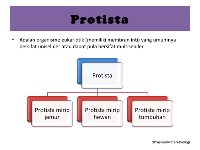 Protista | PPT