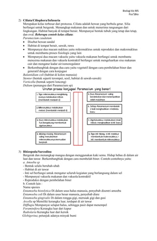 Protista | DOCX