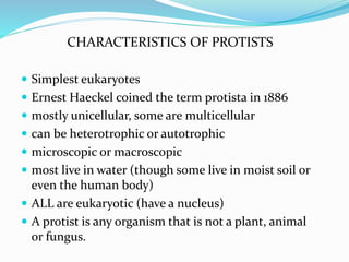 Kingdom Protista | PPT