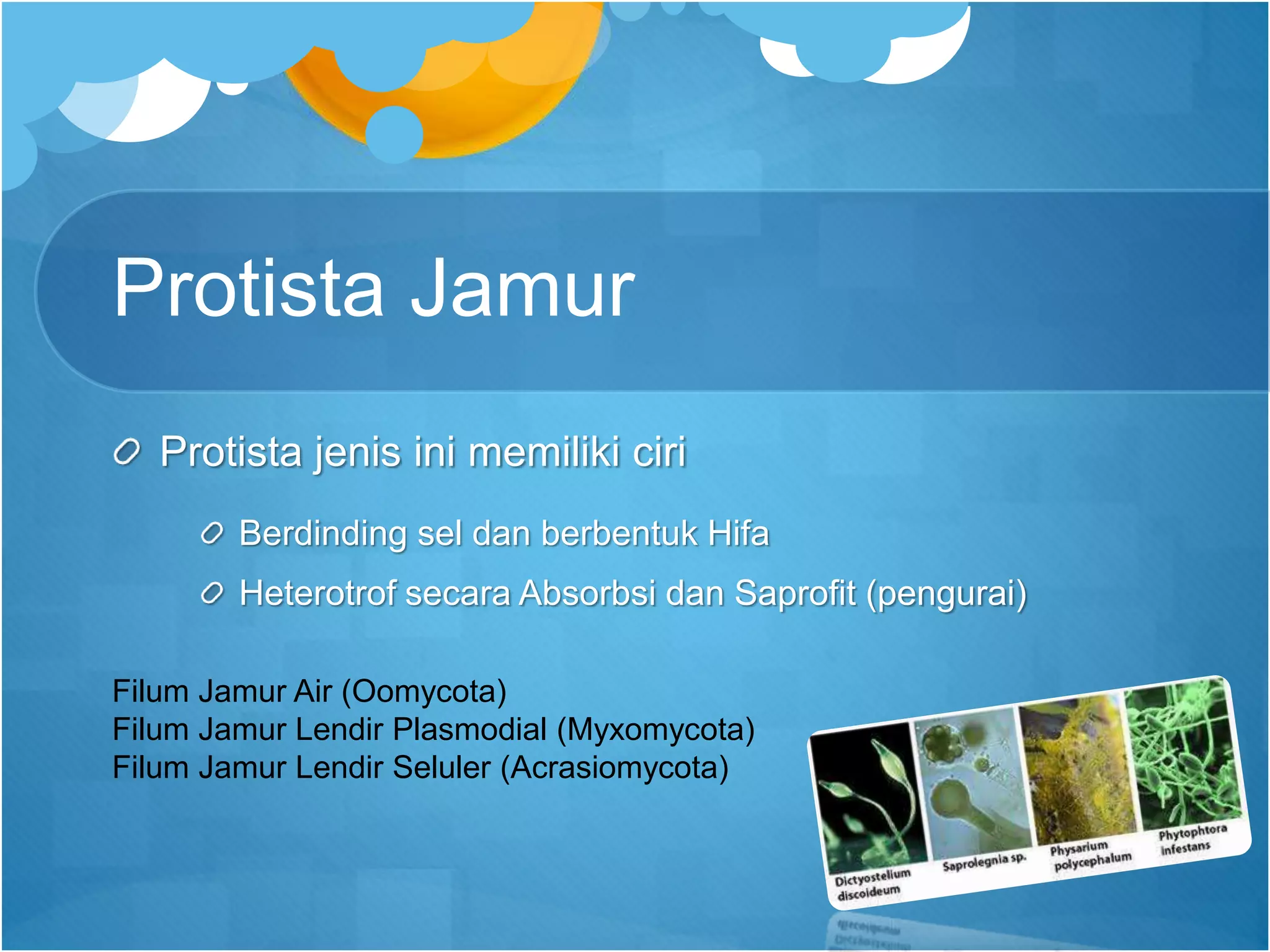 Protista | PPTX