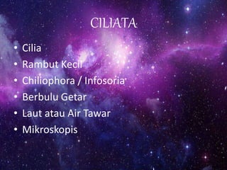 Protista. persentasi | PPTX