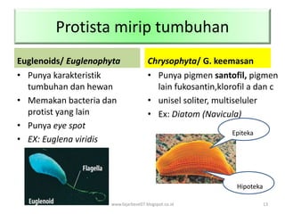 KINGDOM PROTISTA | PPT