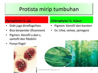 KINGDOM PROTISTA | PPT