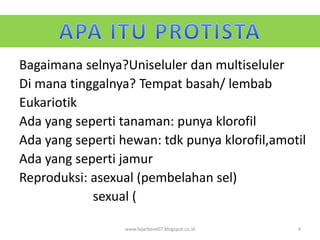 KINGDOM PROTISTA | PPTX