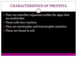 Protista | PPT