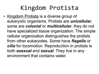 Protista | PPTX