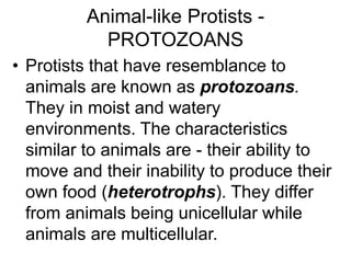 Protista | PPTX