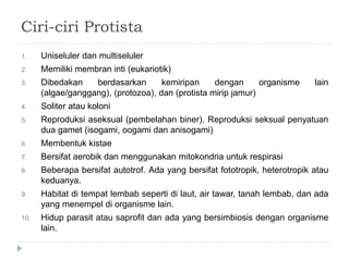 Protista | PPTX
