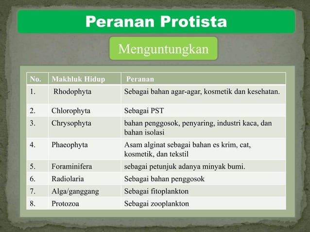 PROTISTA.pptx