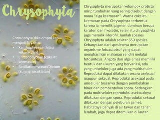 PROTISTA.pdf