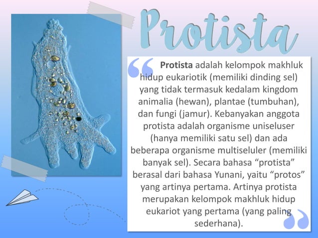 PROTISTA.pdf