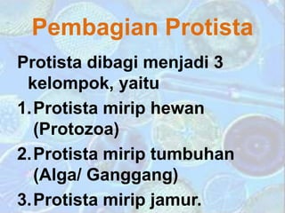 PROTISTA mATER Kelas X SMA Kurikulum 13 PPT | PPTX