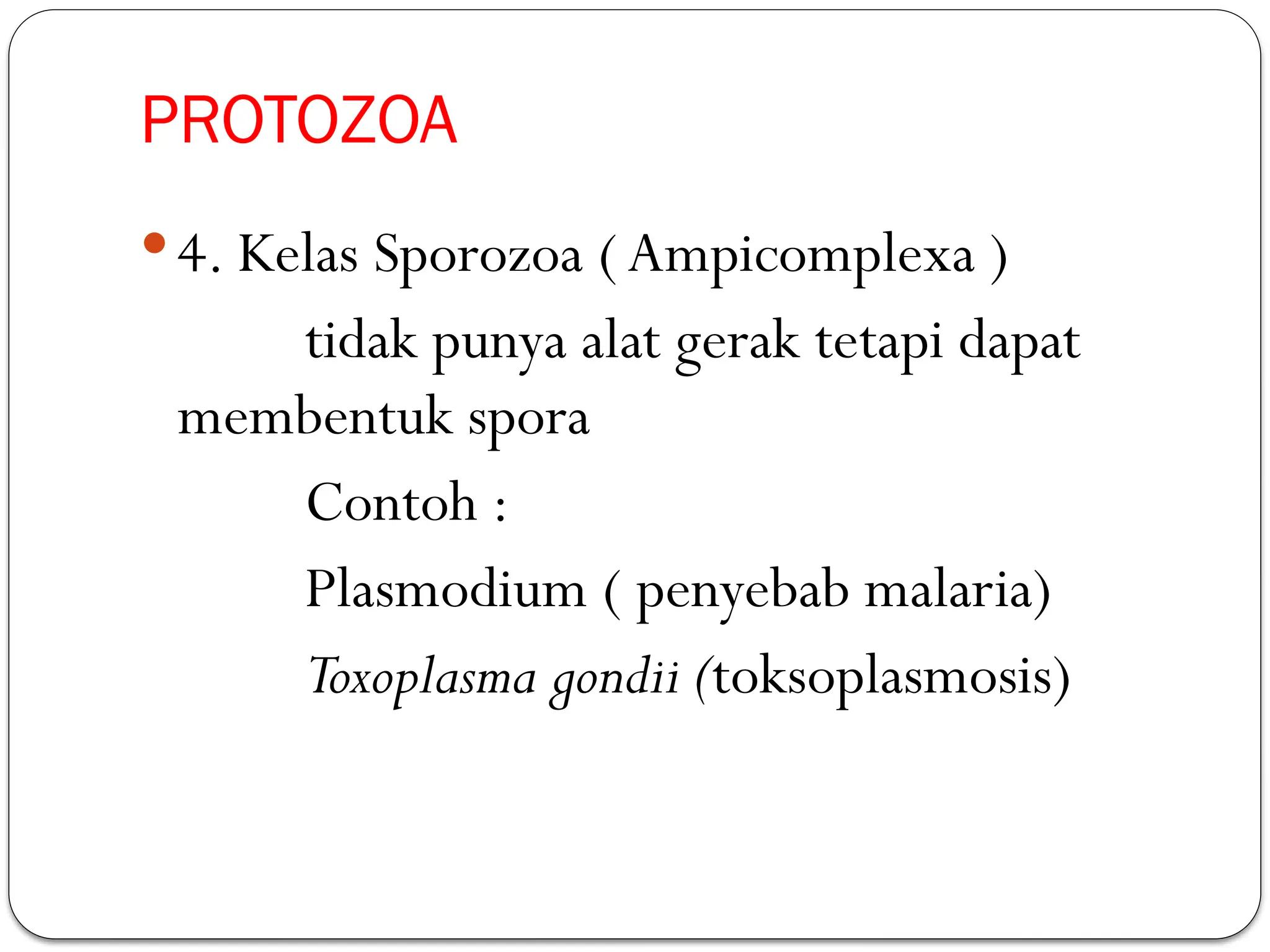 Protista untuk kelas 10 kurikulum tiga belas | PPTX