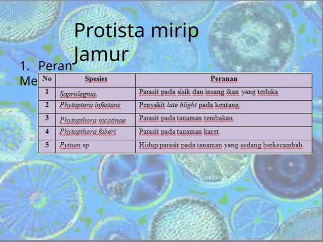 Kingdom monera bagian Protista ( Mirip hewan) | PPT