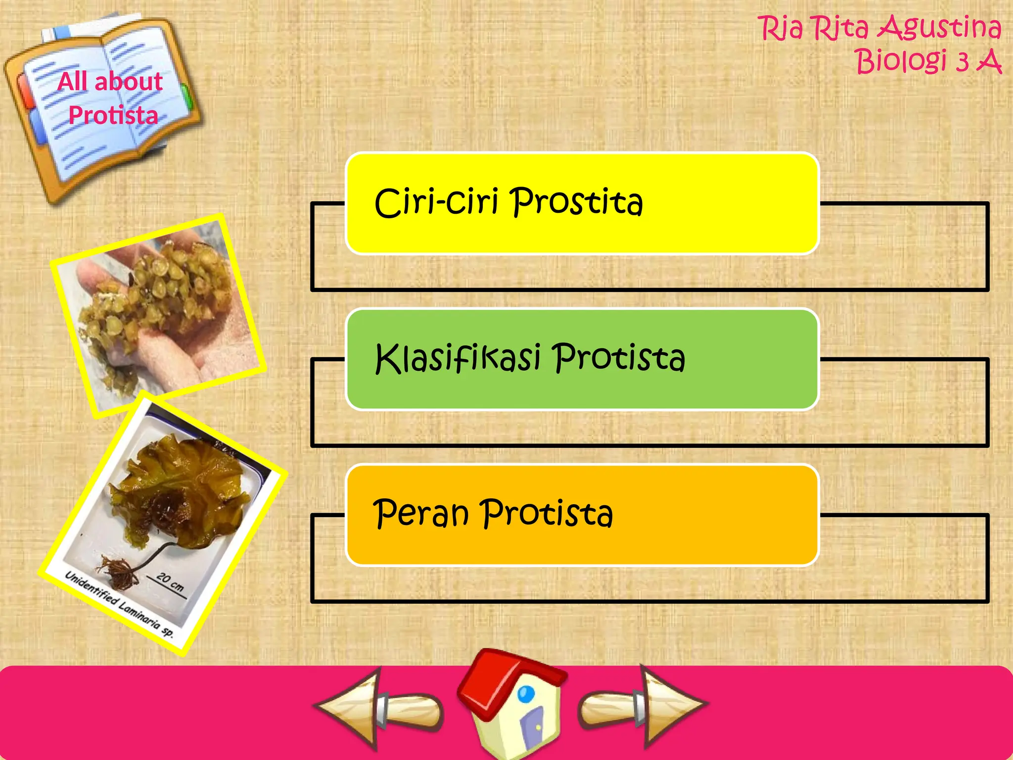 Protista.pptx kelas 7 klasifikasi makhluk hidup | PPTX