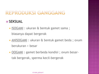 Protista alga + fungi | PPT