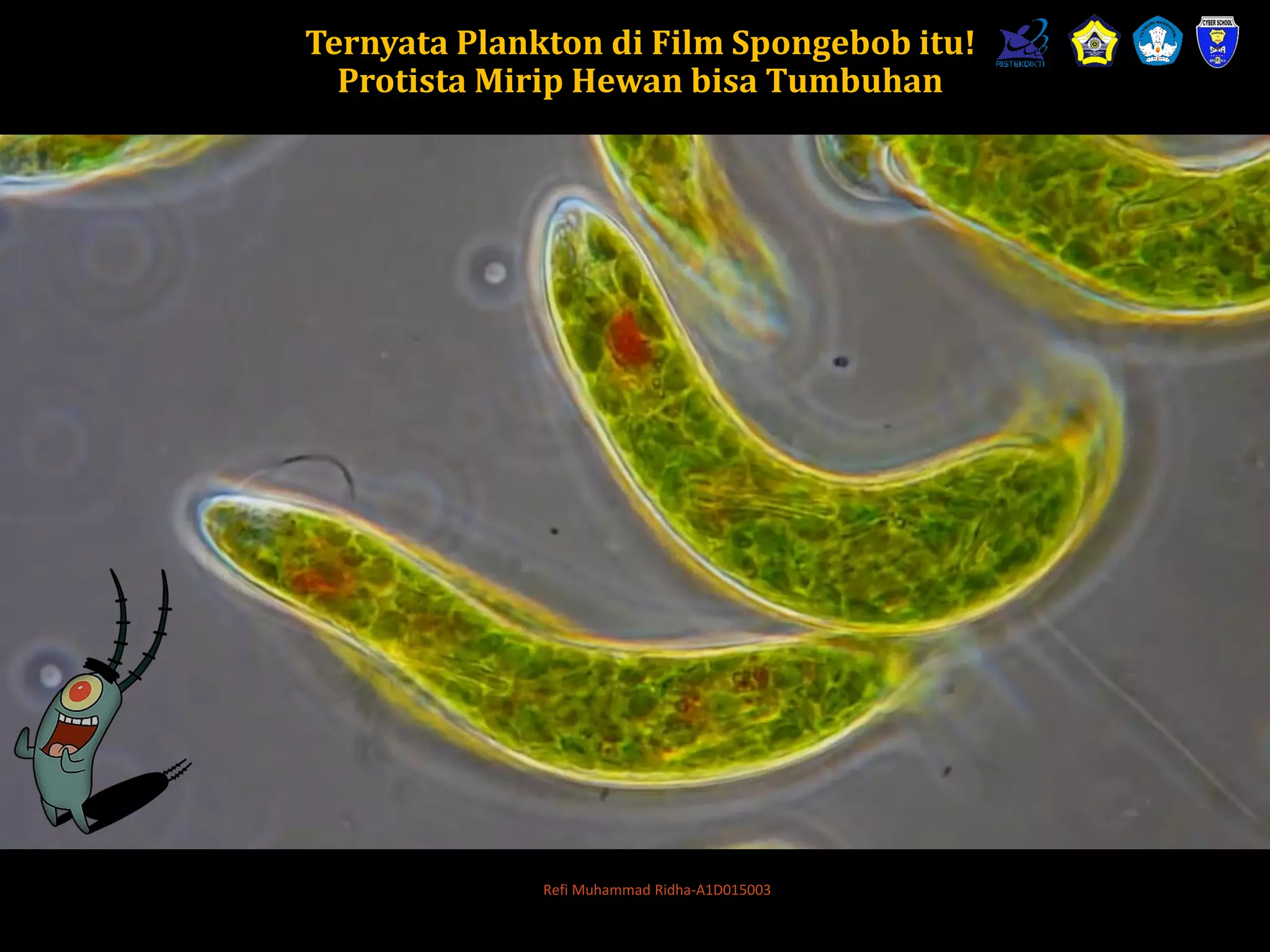 Protista-Biologi-Kelas X SMAN 2 Kota Bengkulu-Refi Muhammad Ridha | PDF