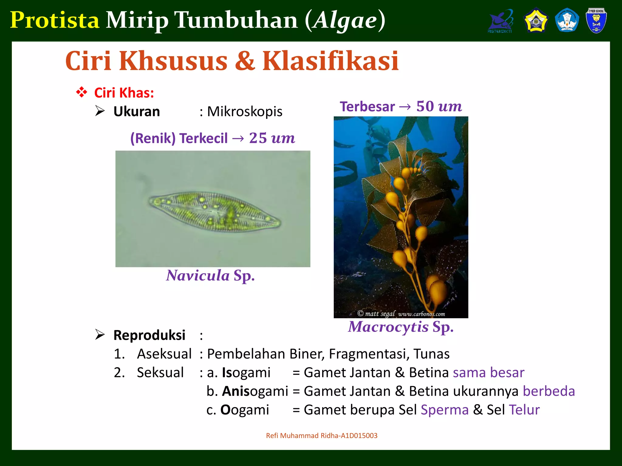 Protista-Biologi-Kelas X SMAN 2 Kota Bengkulu-Refi Muhammad Ridha | PDF