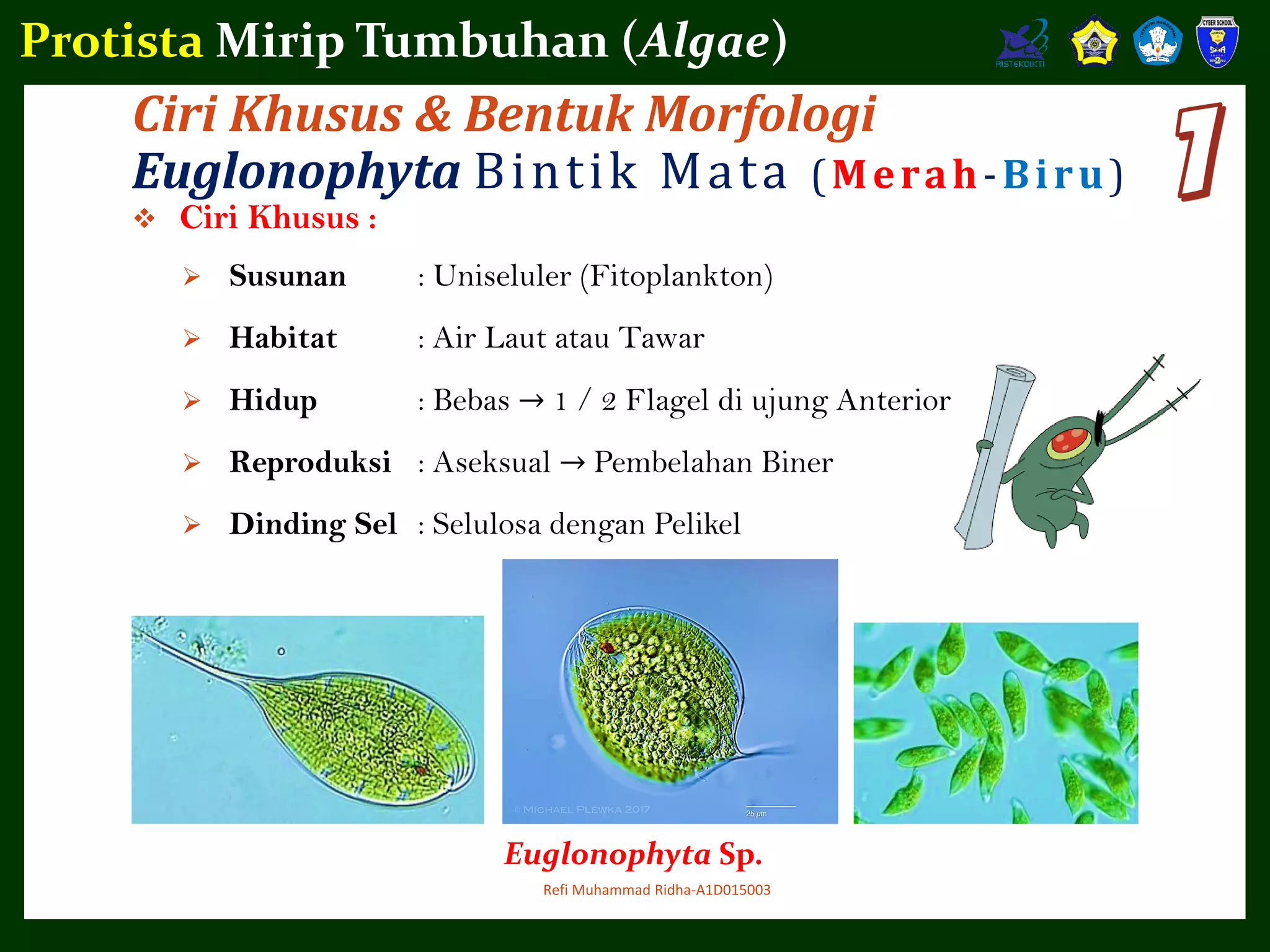 Protista-Biologi-Kelas X SMAN 2 Kota Bengkulu-Refi Muhammad Ridha | PDF