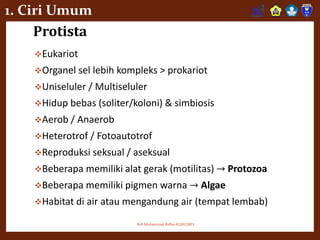 Protista-Biologi-Kelas X SMAN 2 Kota Bengkulu-Refi Muhammad Ridha | PDF