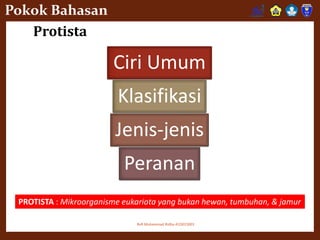 Protista-Biologi-Kelas X SMAN 2 Kota Bengkulu-Refi Muhammad Ridha | PPT