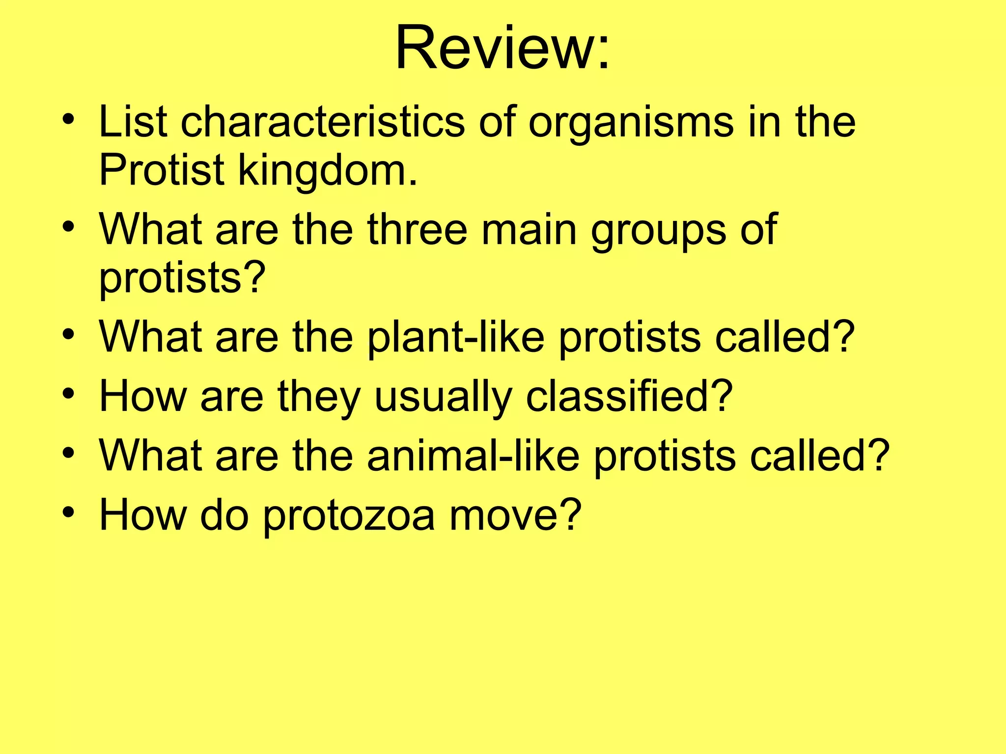 Protista Kingdom | PPT