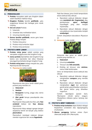 MATERI Protista KELAS X SMA | PDF
