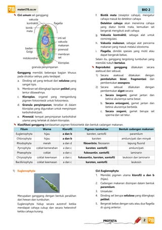 MATERI Protista KELAS X SMA | PDF