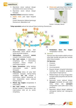 MATERI Protista KELAS X SMA | PDF