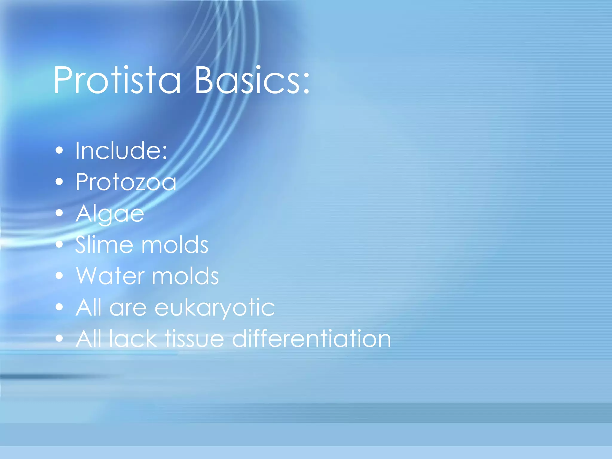 Protista blog notes | PPT